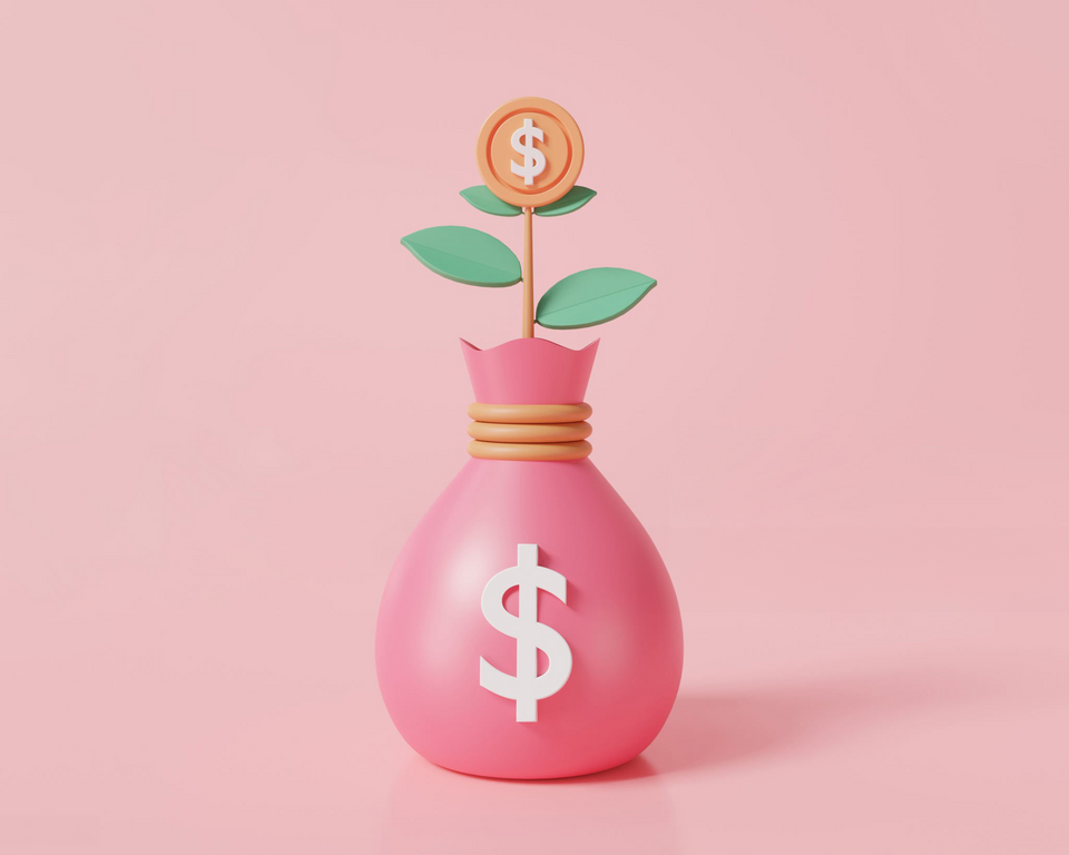 VIP Beauty Plans – Pink Parlour